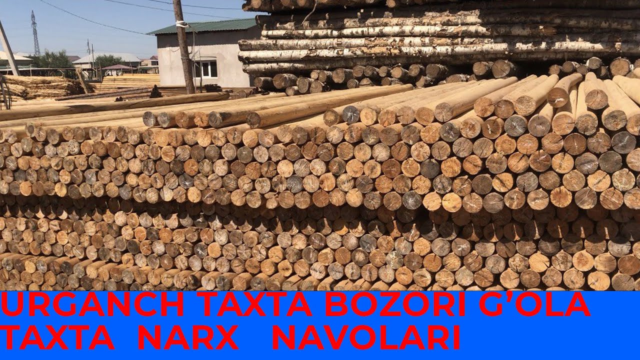 Urganch taxta bozor g’ola taxta narx navolari YANGI NARXLAR//2023 - YouTube