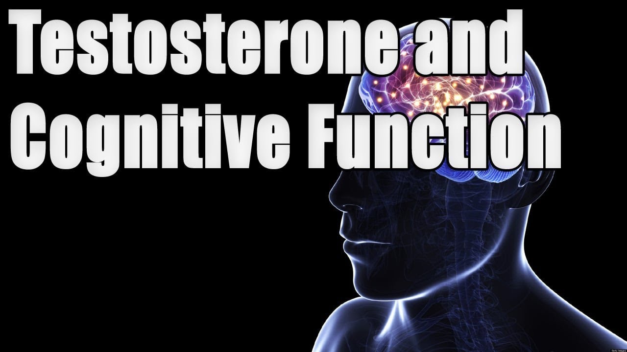 A Powerful Bond Between Testosterone and Cognitive Function - YouTube