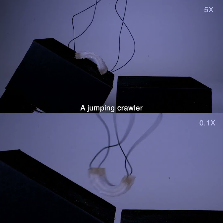 Bistable Soft Actuator for Reconfigurable Soft Robots - YouTube