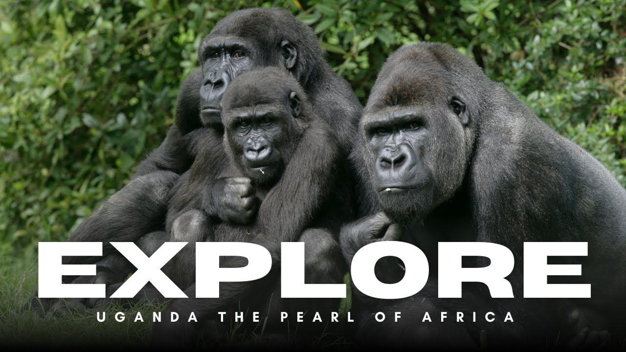 Explore Uganda the Pearl Of Africa - YouTube