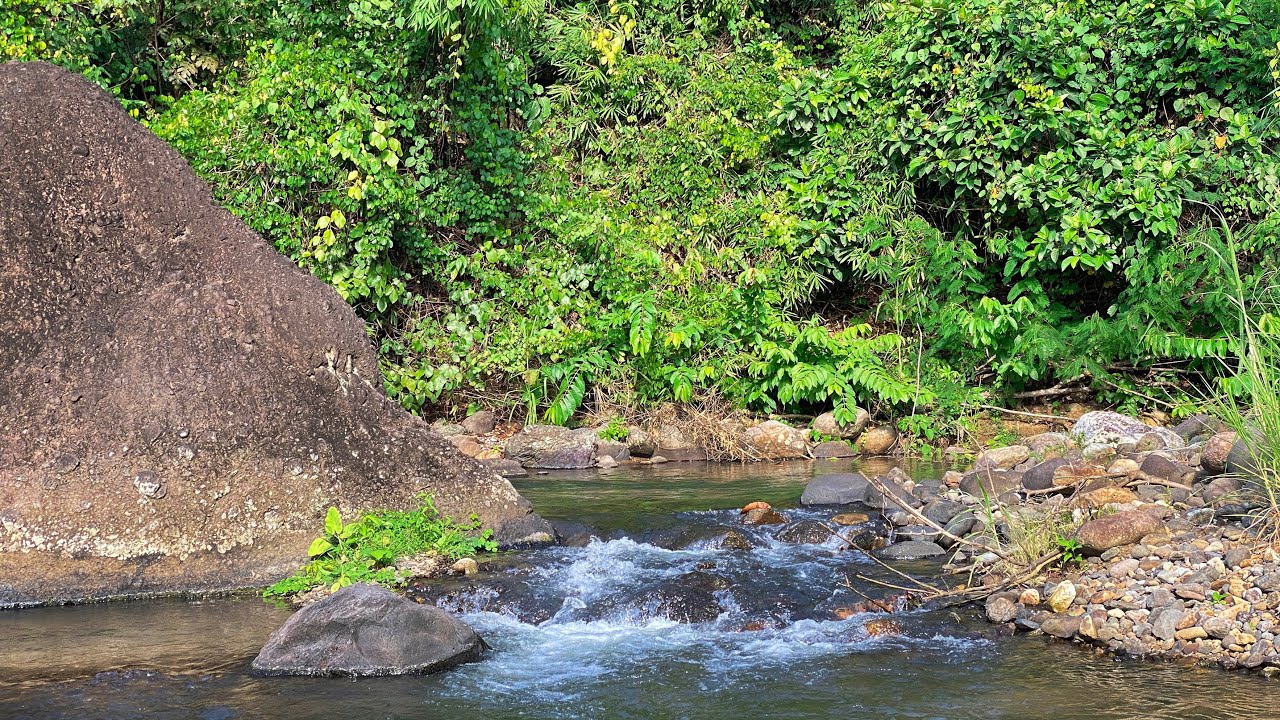 Running Water Stream Sounds with Green Views And Boulders To Beat ...
