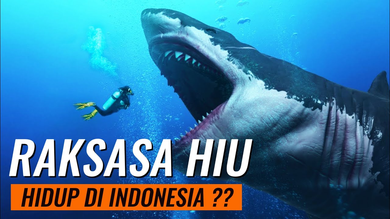 RAKSASA HIU HIDUP DI INDONESIA ?? - YouTube