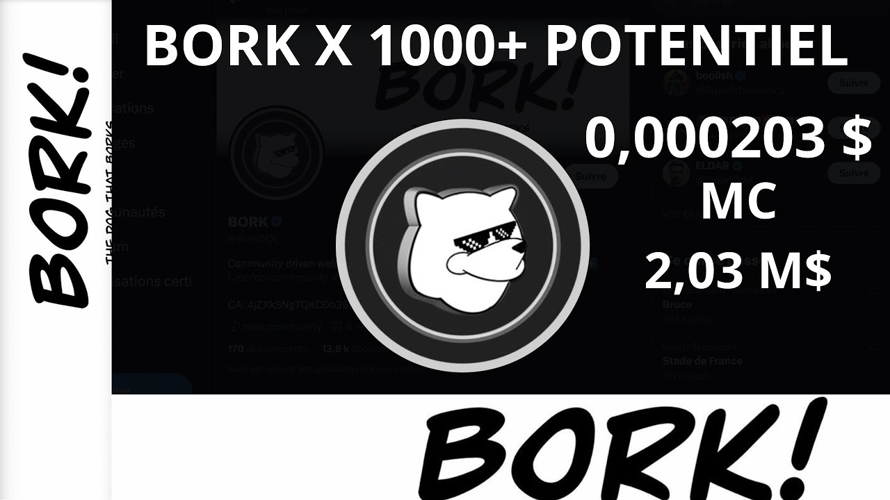 $BORK , UN MEME COIN DÉCENTRALISÉ GÉRÉ PAR LA COMMUNAUTÉ. COMMENT ...