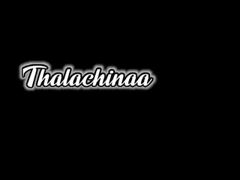 Aligina Adina needadanini song lyrical video