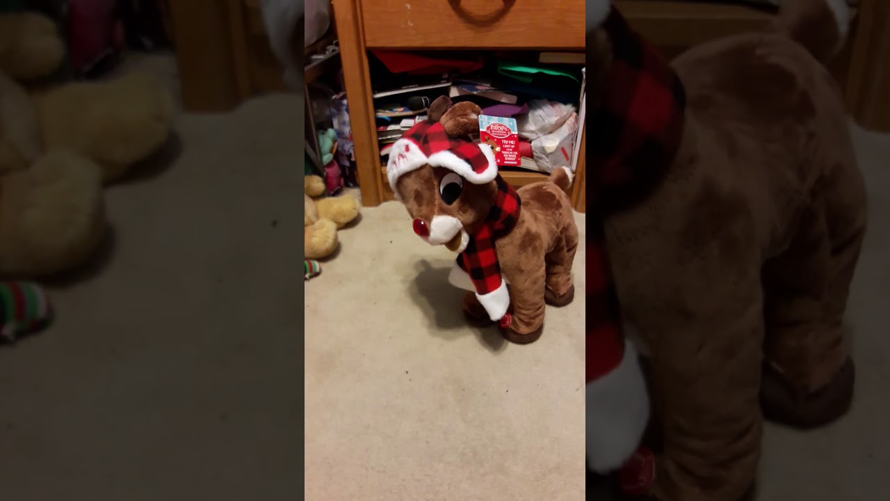 Dandee walking Rudolph - YouTube
