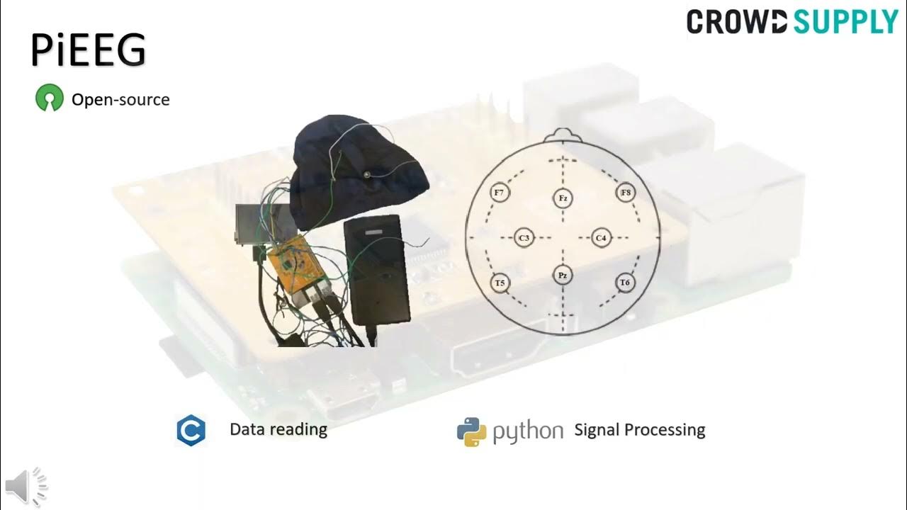 Low-cost Brain-computer interface with RaspberryPi and PiEEG (EEG, EMG, and ECG bio-signals ...