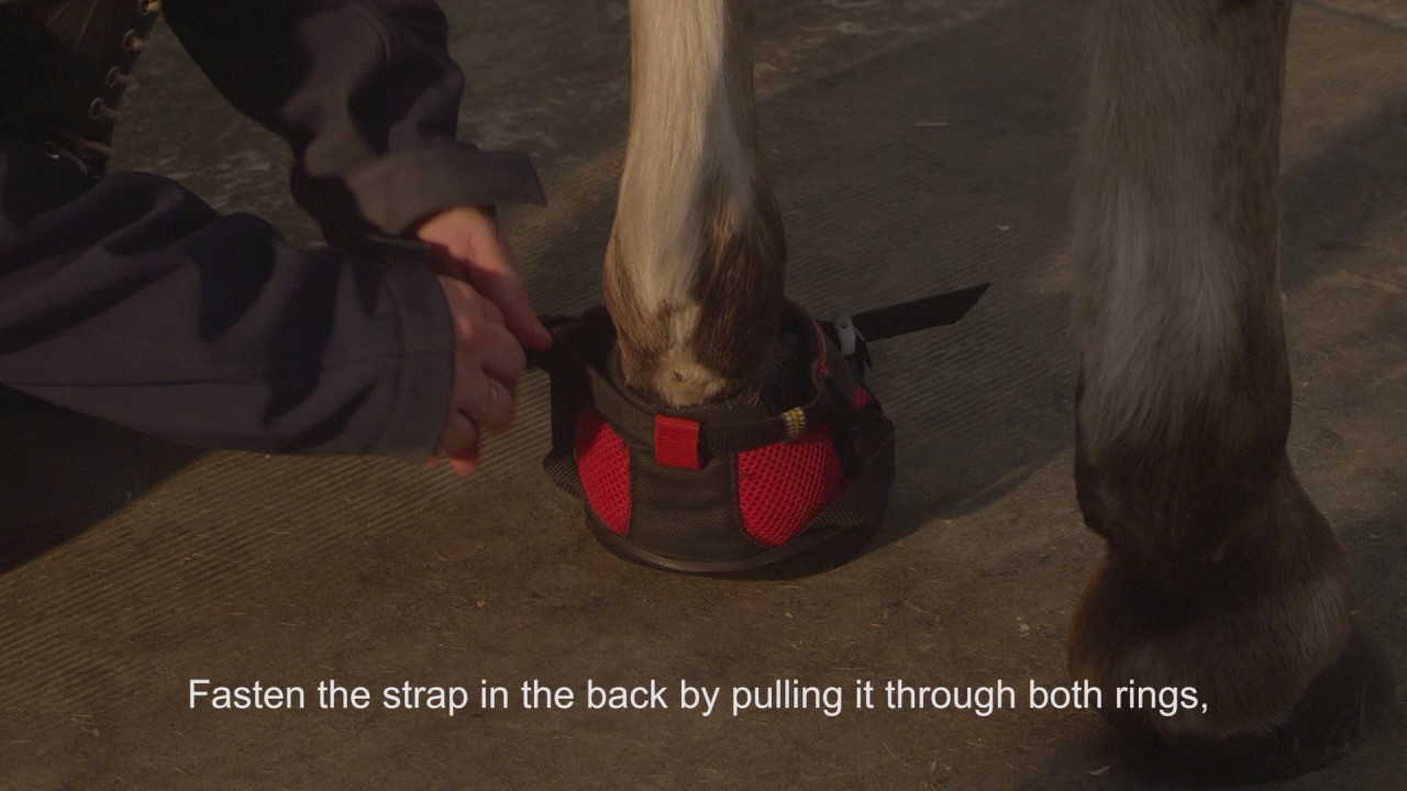 User guide - How to put on Ultra - YouTube