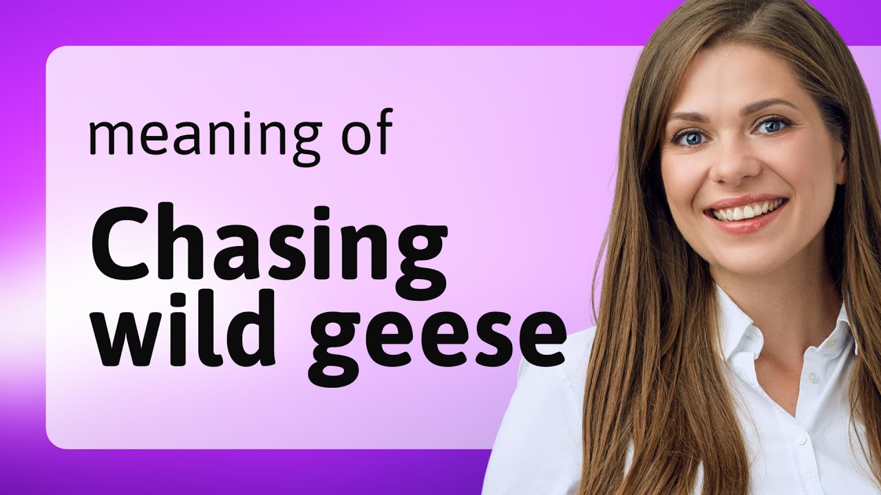 Chasing Wild Geese: A Dive Into Idioms - YouTube