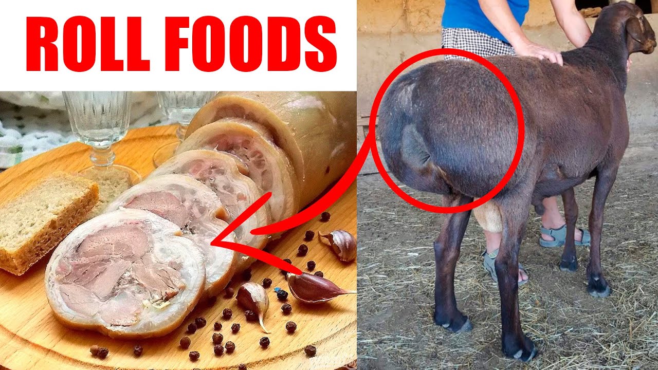 Roll foods | Sheep's butt | Рулонные продукты | Овечья задница - YouTube