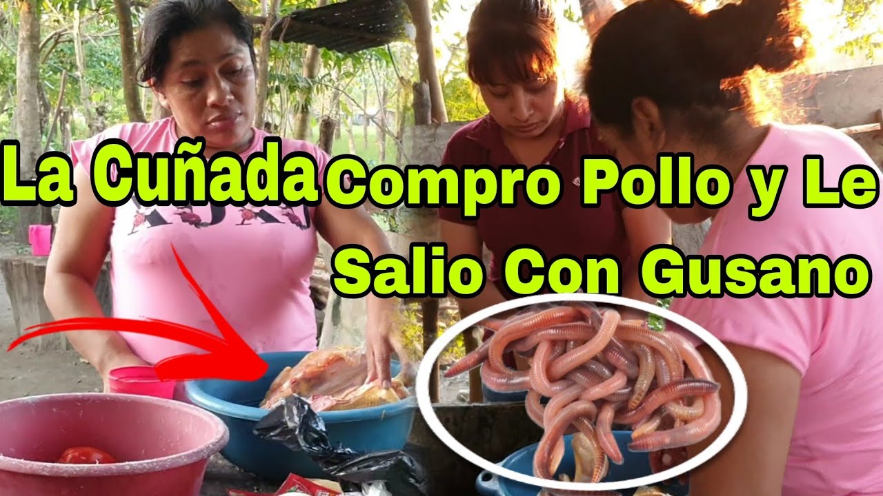 La Cuñada Fue Victima de Que Su Pollo Que Compro Le Salio Con Gussanos ...