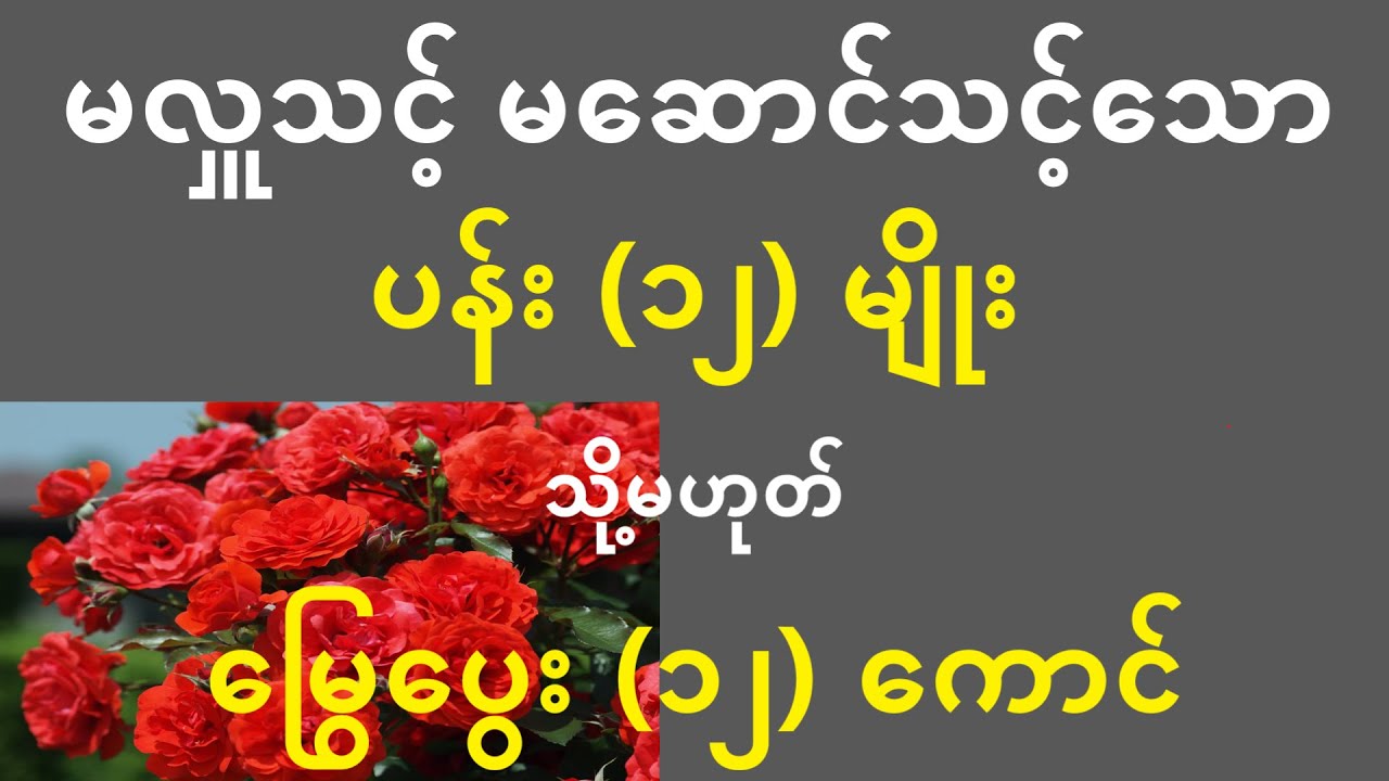 ချမ်းသာချင်ရင် - ပန်း ၁၂ မျိုးကို ရှောင်ပါ - ပြည် ဝေပုလ္လာရာမ ဆရာတော ...