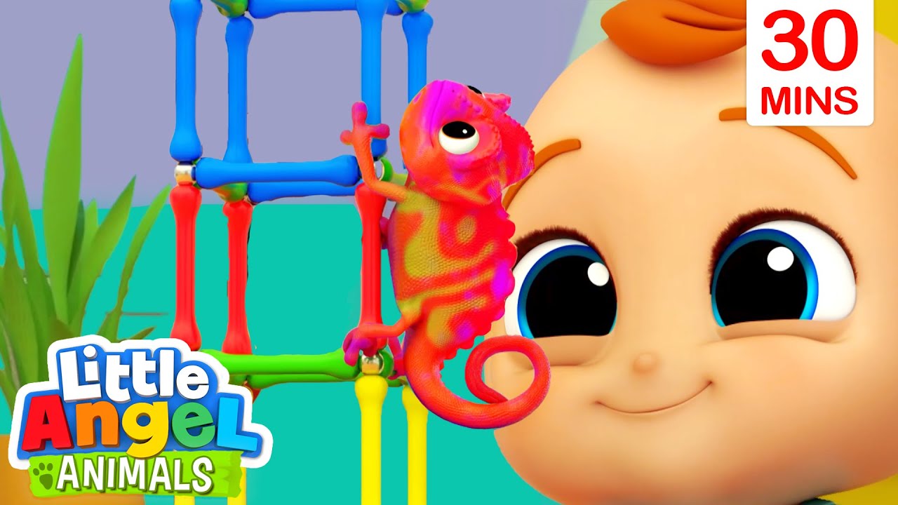 My New Little Pet 30 MIN COMPILATION |Fun Animal Sing Along Songs by ...