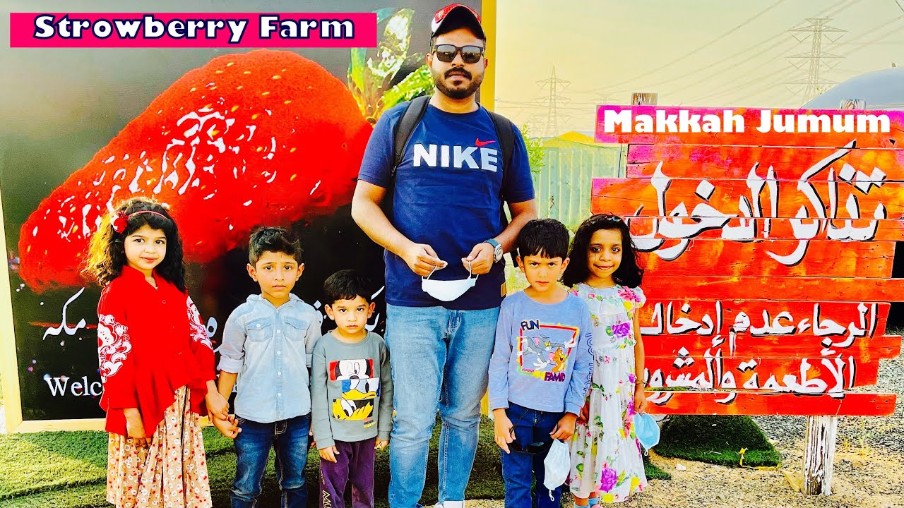 Strowberry farm in Saudi Arabia |makkah|Al Jumum - YouTube
