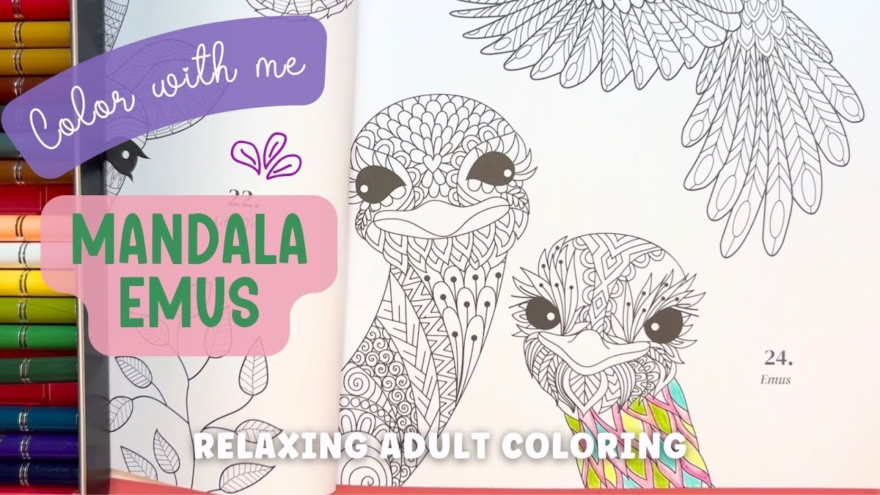 Watch Me Color a Sweet Pair of Mandala Emus—Relaxing Adult Coloring ...