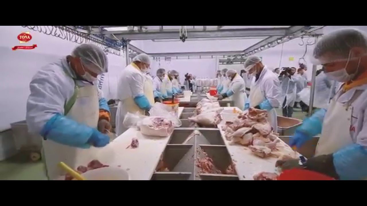 Sallameri Tona - Vizita e Ministrit Klosi - 2016 - YouTube