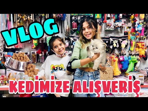 YENİ KEDİMİZ İÇİN PET SHOP ALIŞVERİŞİ YAPTIK !! Alışveriş Vlog