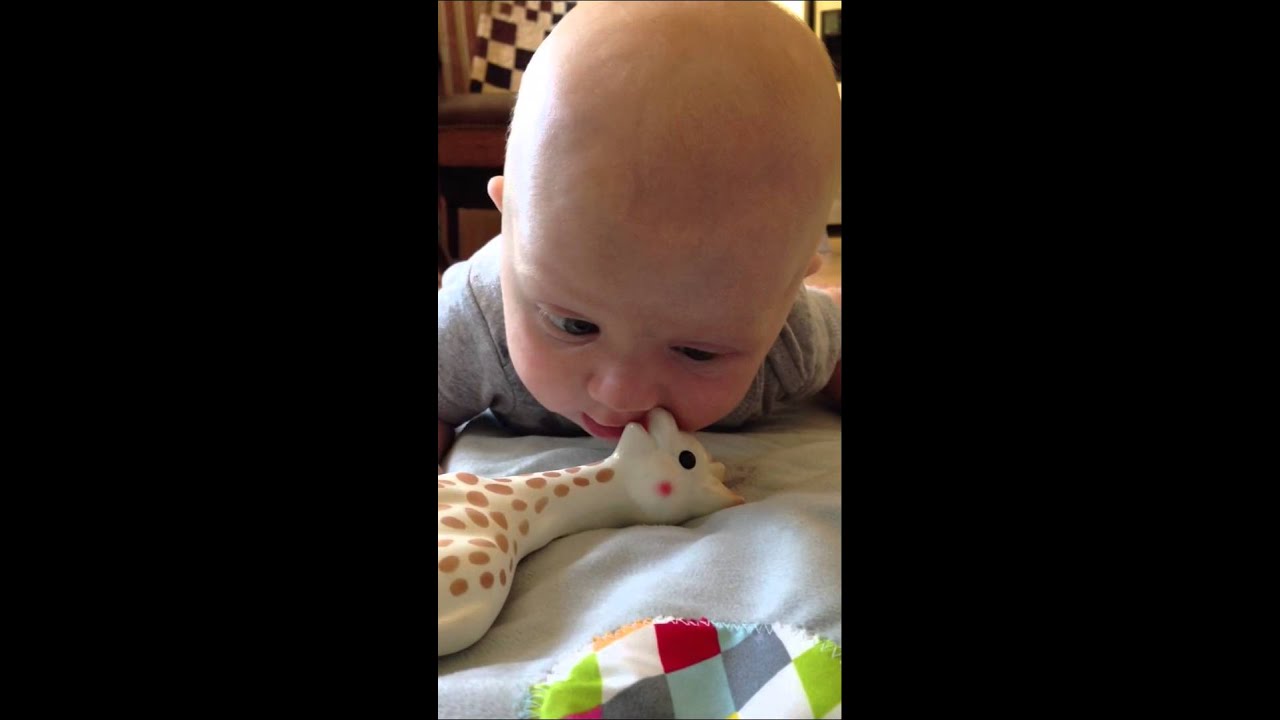 Baby performs cpr on giraffe - YouTube