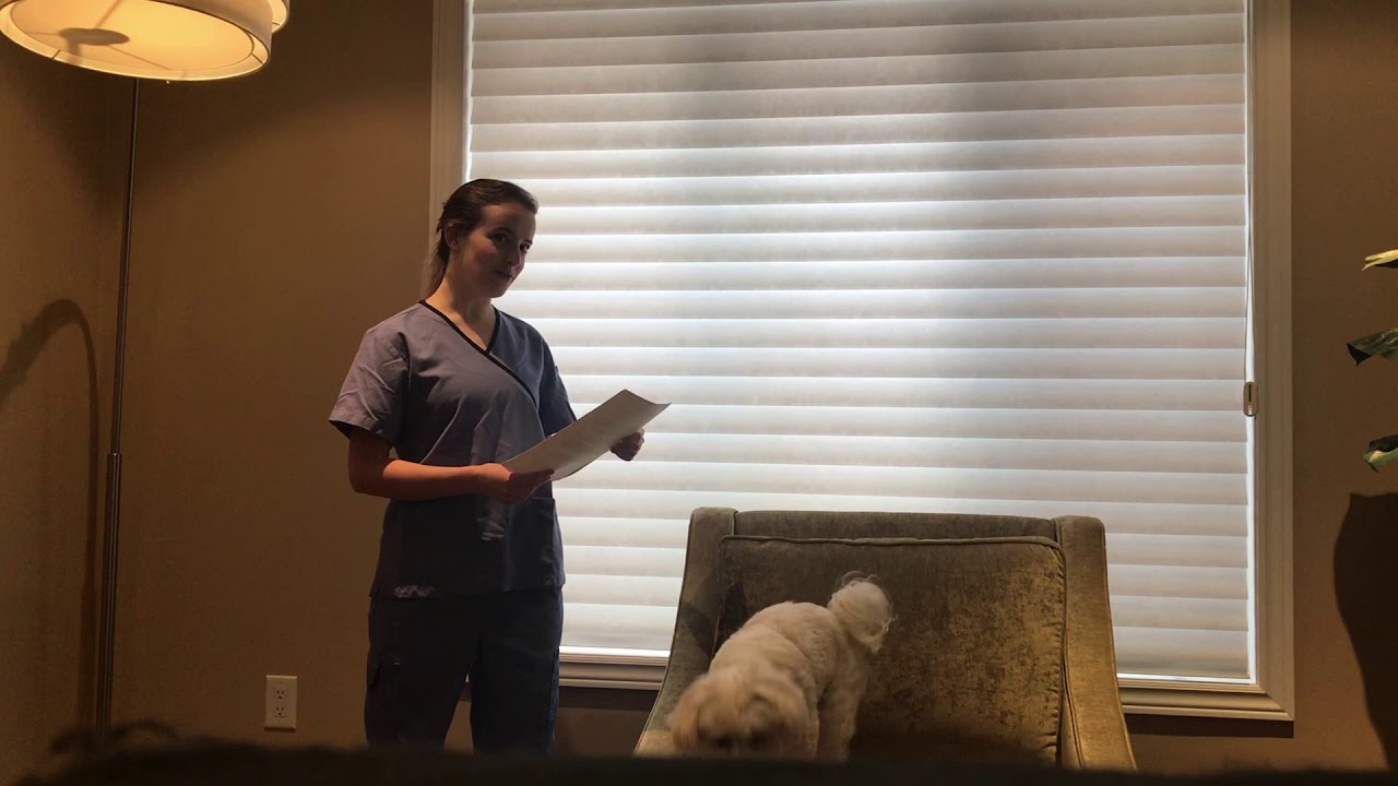 Bloopers -Aka best client ever - YouTube