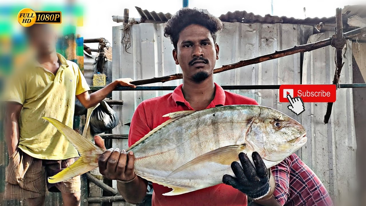 PAARAI(RRAVELLY🐟) Fish Cutting || In ( 1080p60) subscribe for more ...