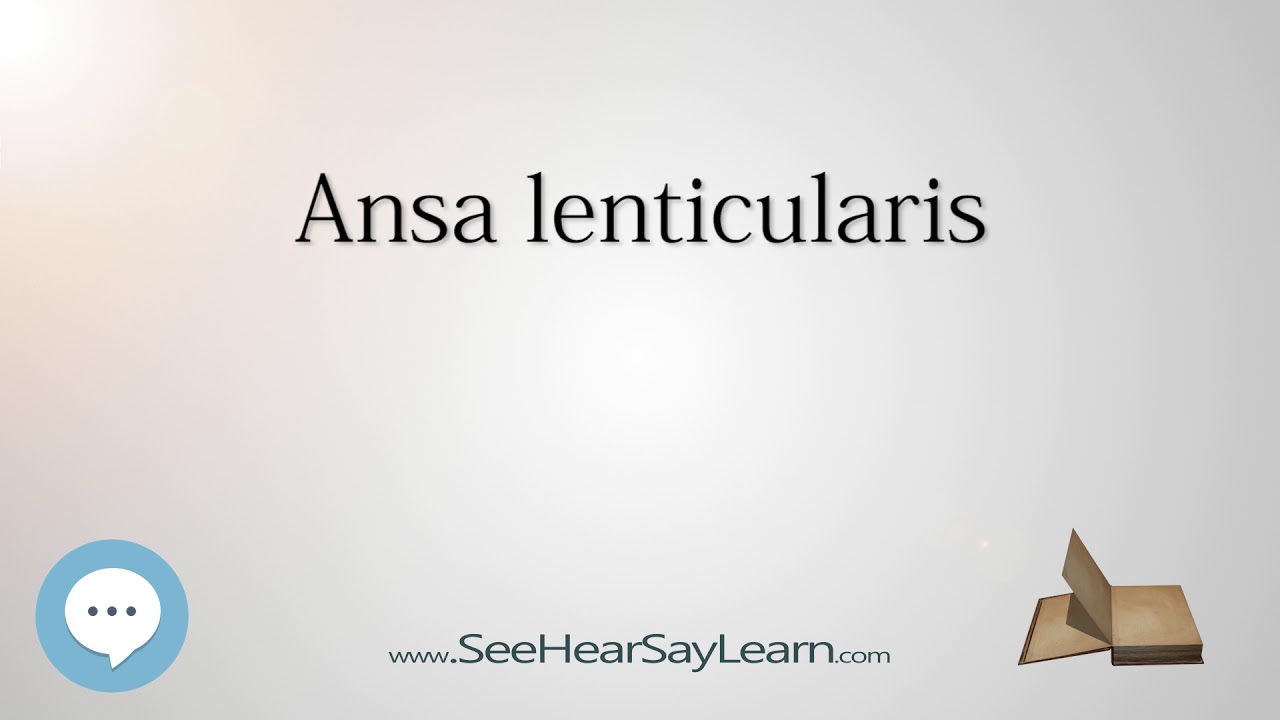 Ansa Lenticularis - Know It ALL 🔊 - YouTube