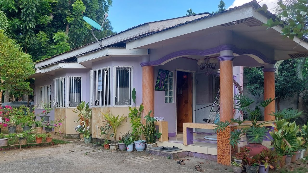 TINY VIOLET HOUSE WITH VIOLET INTERIOR DESIGN (Simple and attractive ...