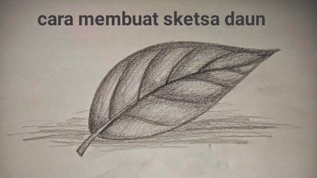 Cara menggambar daun menggunakan pensil dengan mudah - YouTube