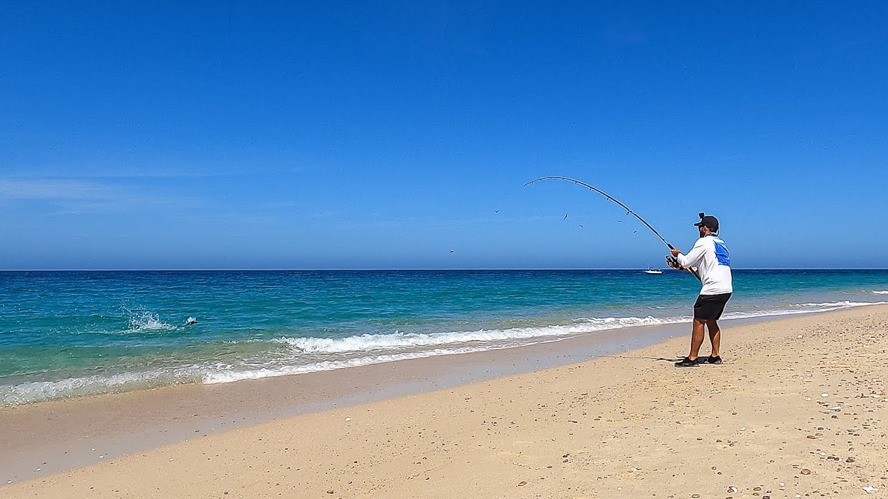 La PESCA en esta PLAYA es INCREIBLE, se PESCA PARGO, Gallo, Sierra ...