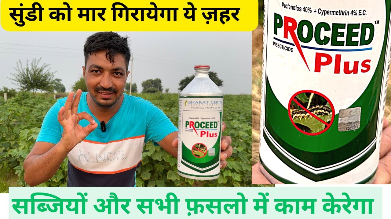 सुंडी का होगा खात्मा इस दवाई की स्प्रे करो। सुंडी के लिए बना स्पेशल ...