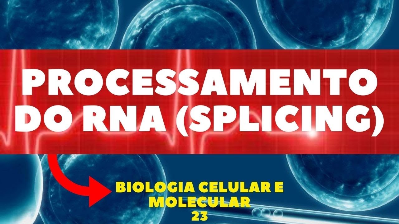 PROCESSAMENTO DO RNA - (SPLICING) - AULA 23 - YouTube
