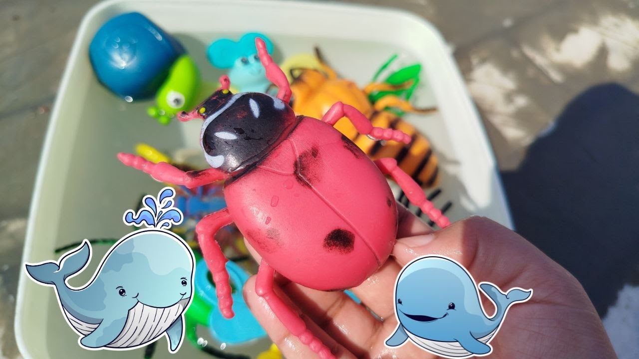 Miniature Wild Animal Toys, Toy Animal line up, animal toys, Learning ...