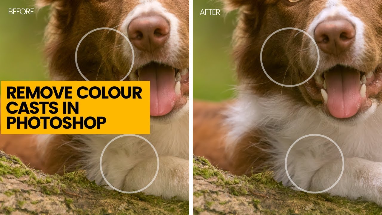 3 WAYS HOW TO REMOVE COLOUR CASTS IN PHOTOSHOP Without Destroying 3 WAYS HOW TO REMOVE COLOUR CASTS IN PHOTOSHOP Without Destroying
