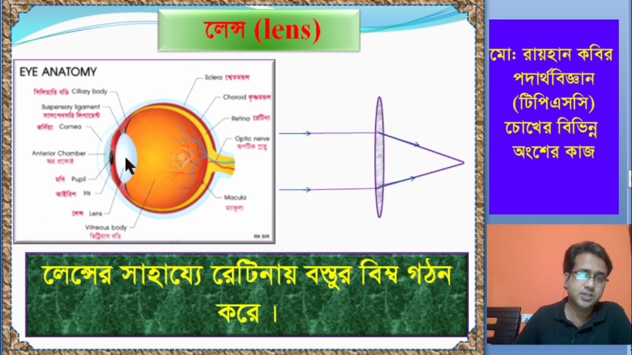 চোখের বিভিন্ন অংশের কাজ JSC,SSC&HSC - YouTube