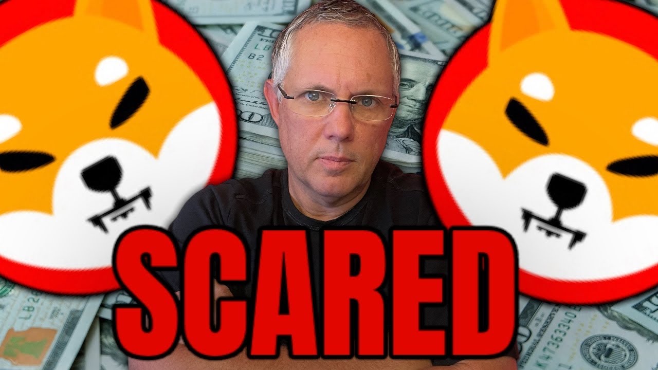 SHIBA INU - ARE YOU SCARED? - YouTube