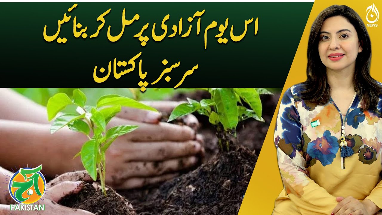 Let's Celebrate Independence Day with a Tree Planting - Aaj Pakistan ...