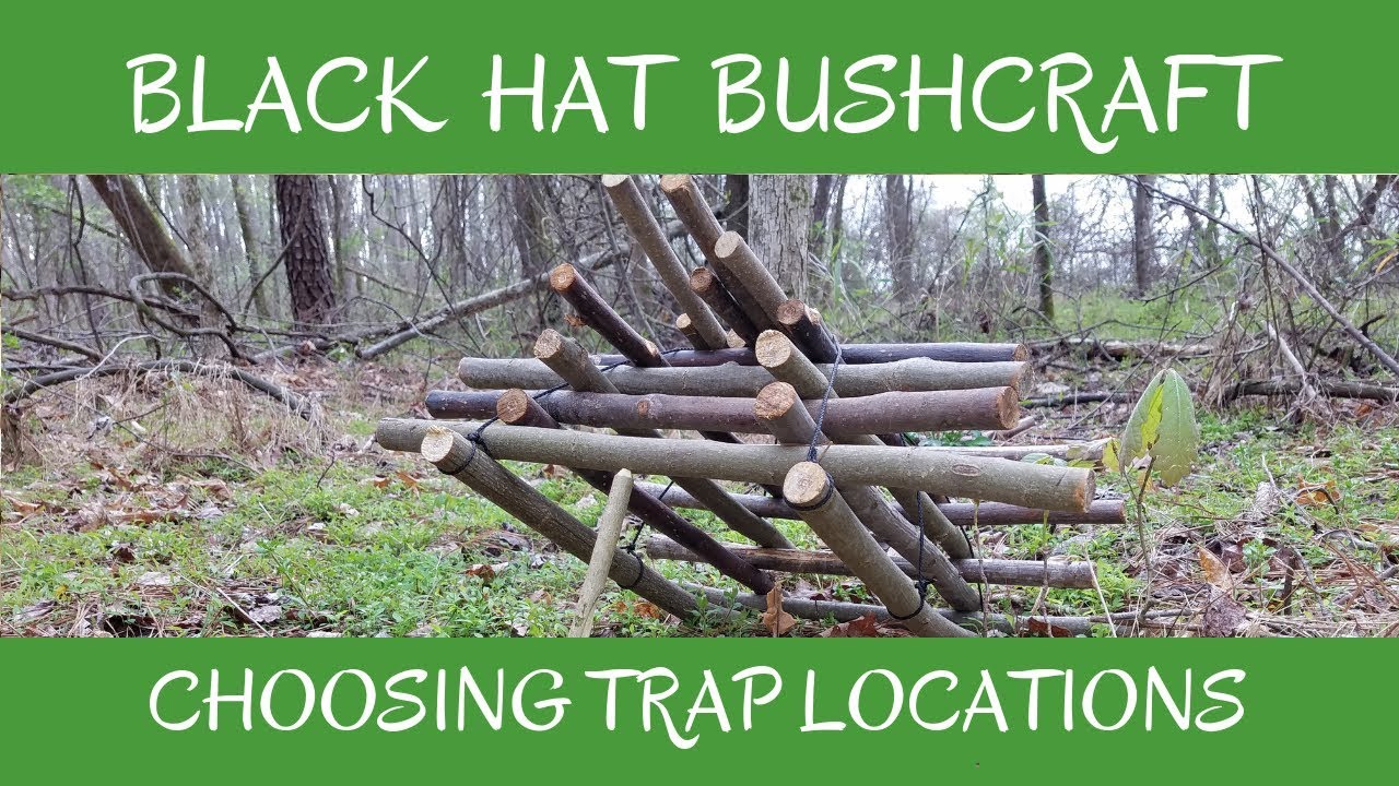 Where to Set Traps for Survival Trapping - YouTube