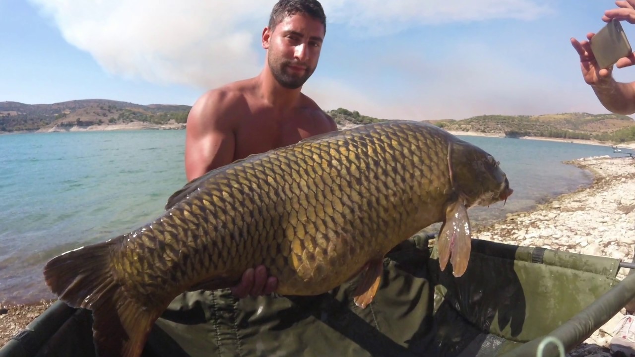 Carpfishing Sicily Sicilia 2016 [ Laghi Siciliani ] - YouTube