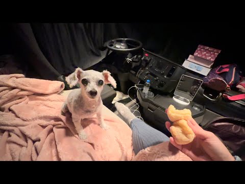 Vamos congelar uma noite muito fria nos pampas gaúcho..