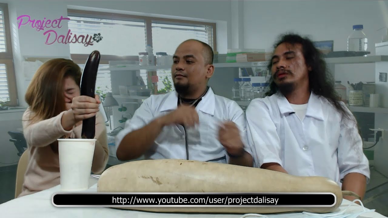 Project: Dalisay S01E02 - Si Linda at Si Elmer - YouTube