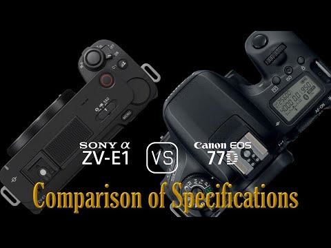 Sony Alpha ZV-E1 vs. Canon EOS 77D: A Comparison of Specifications ...