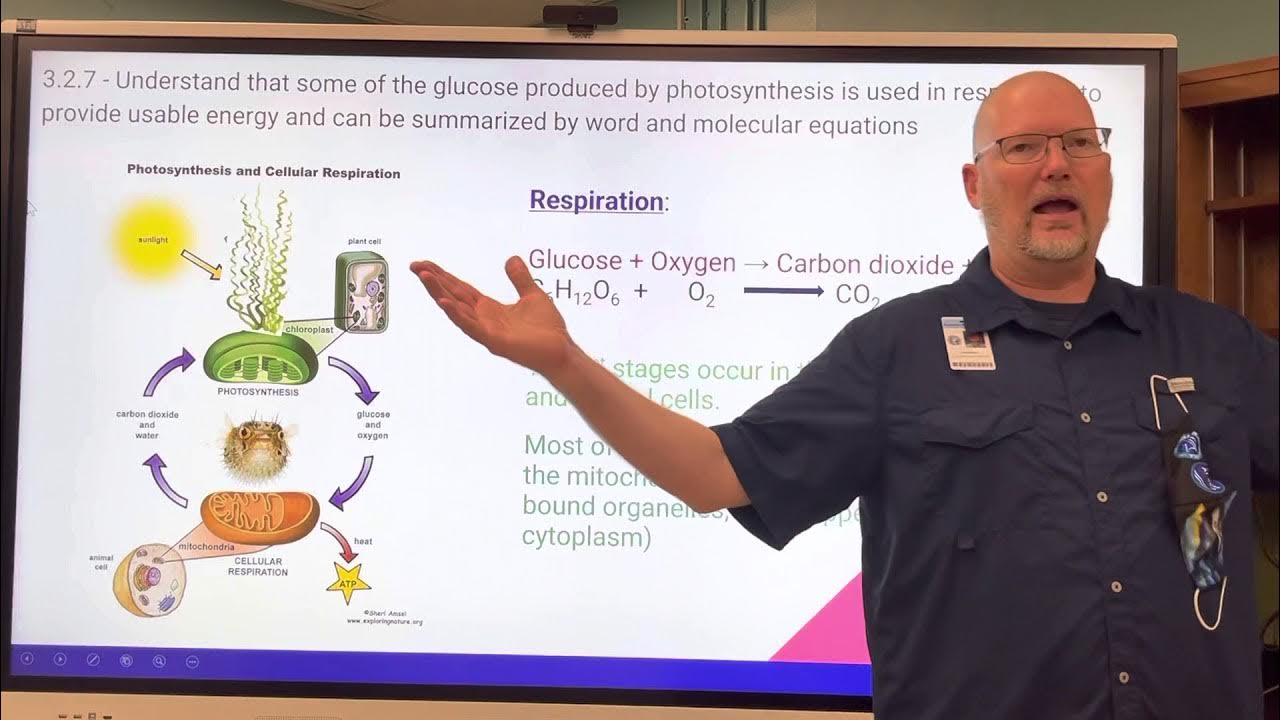 Mr Keene - AICE Marine Unit 3, Part 2 “Nutrients and Trophic Levels ...