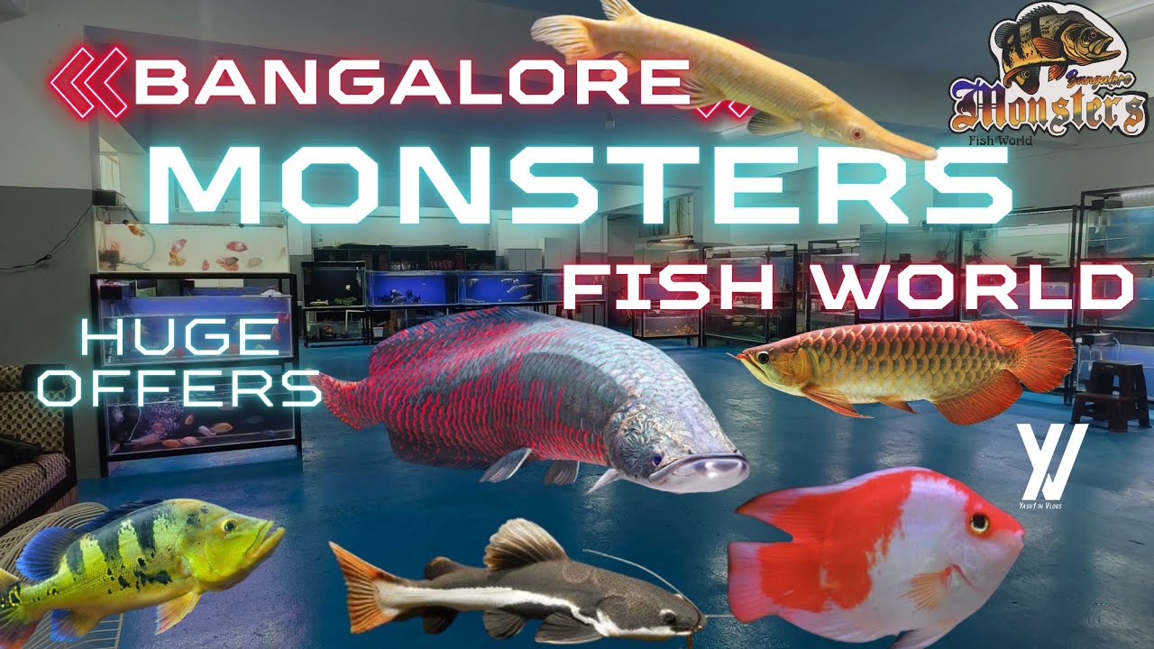 Bangalore Monsters fish world | Wholesale and retail fish farm and ...