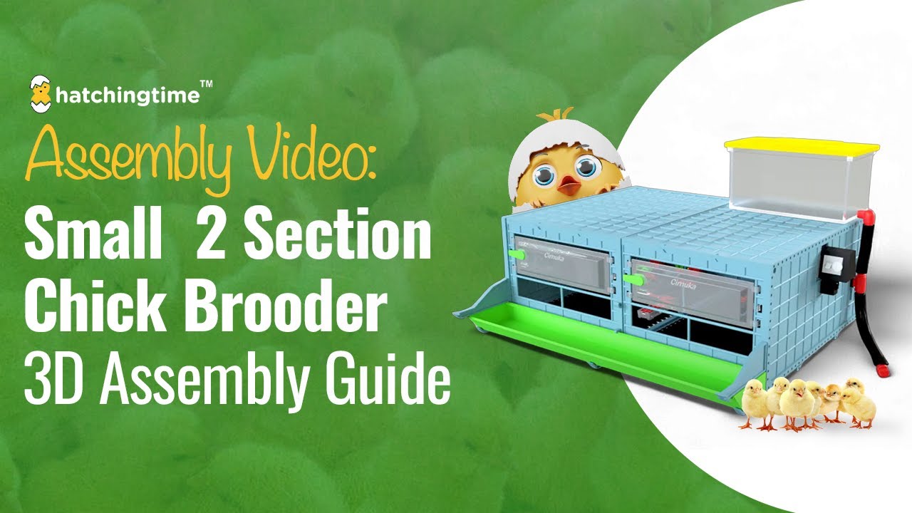 Assembly Guide (3D): Chick Brooder - 2 Section H:9.5" | Hatching Time ...