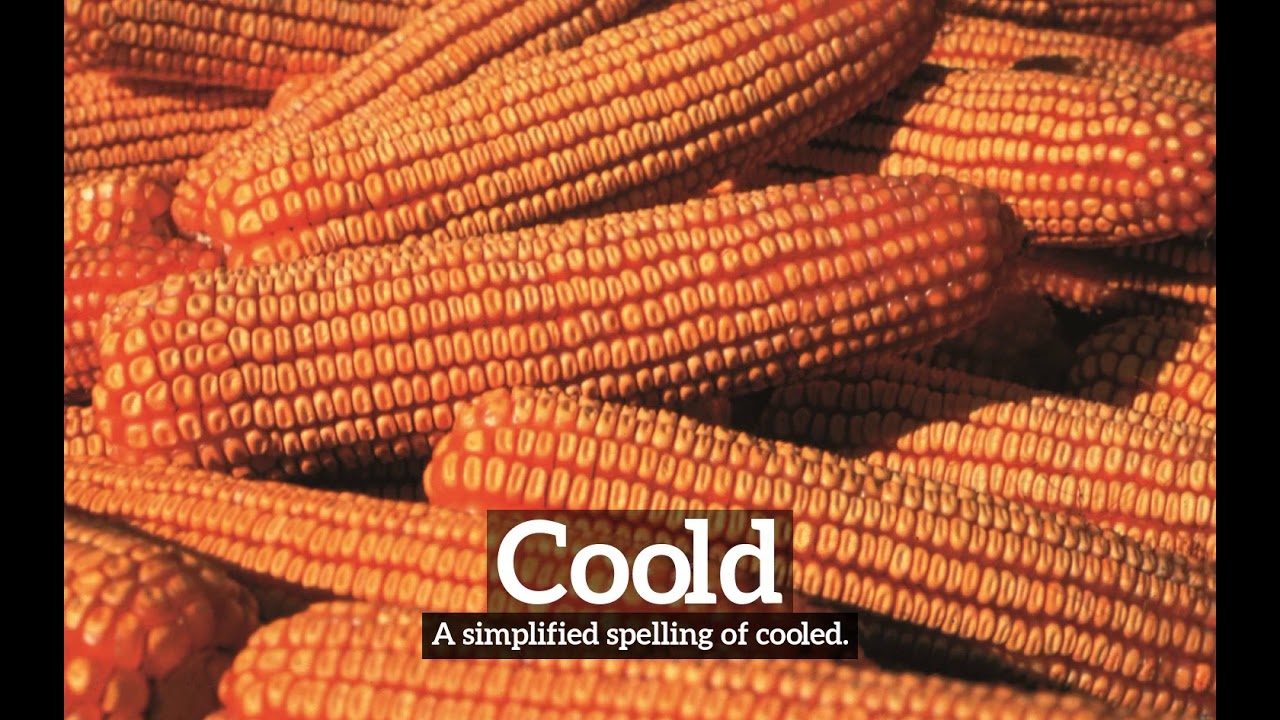 How to Say Coold in English? | What is Coold? | How Does Coold Look ...