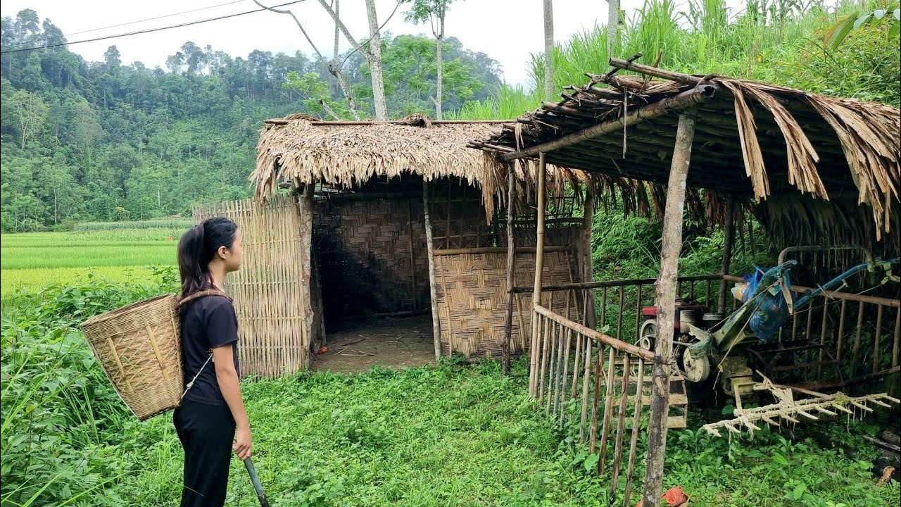 Young girl helps landlord, restores abandoned farm, receives large sum ...