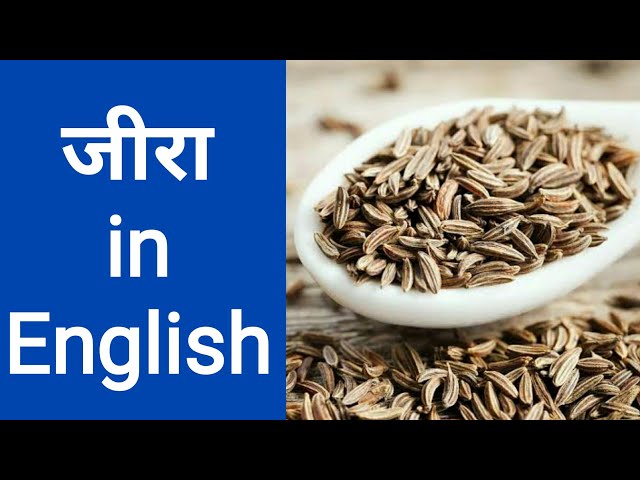 Jeera In English Kashmiri Shahi Zeera (Black Cumin Seeds)