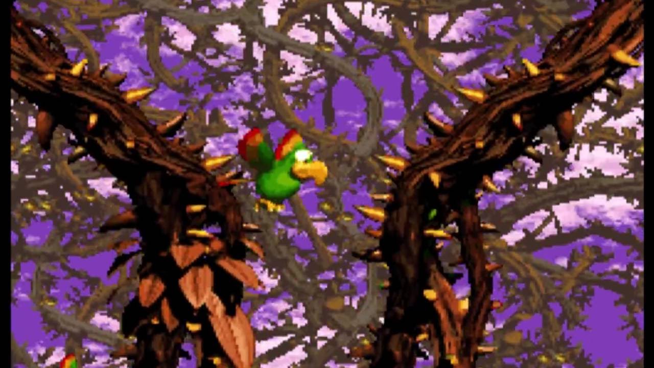 Donkey Kong Country 2: 102% - Level 7-1: Screech's Sprint - YouTube