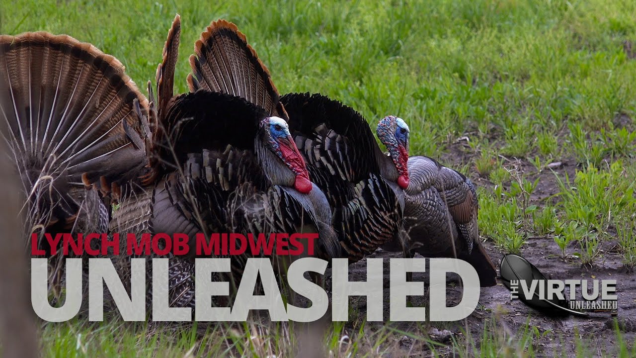 Turkey Hunting The Midwest | The Virtue TV - YouTube