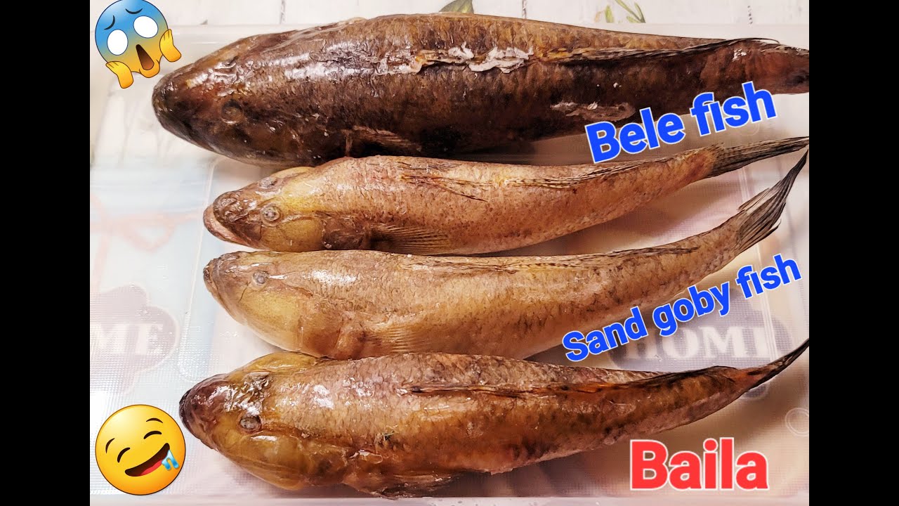 Delicious Big Baila Fish Curry | সুস্বাদু বাইলা মাছের রেসিপি - YouTube