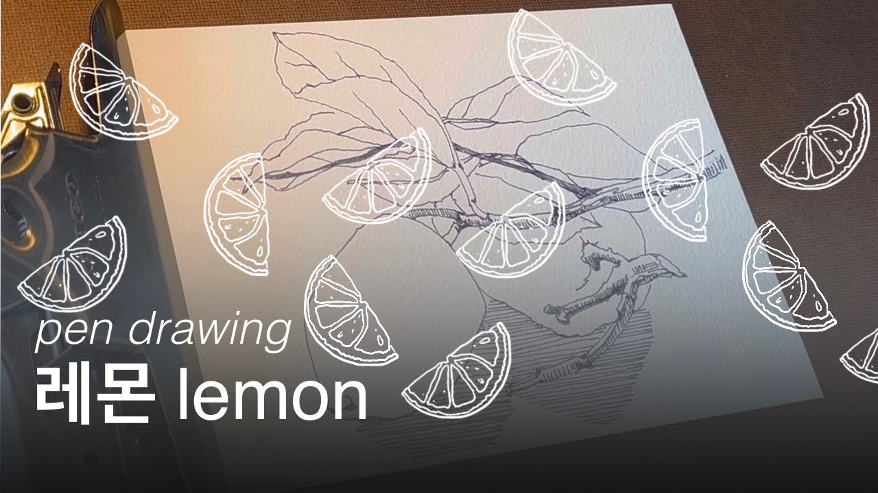 레몬 lemon pen drawing🖋 #만년필드로잉 #펜드로잉 - YouTube