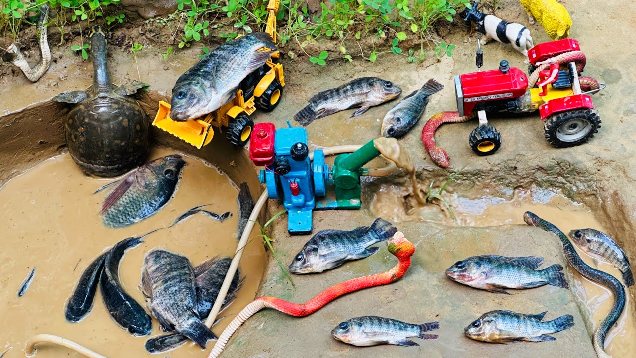 catch fish using mini water pump | fishing exciting | diy tractor ...